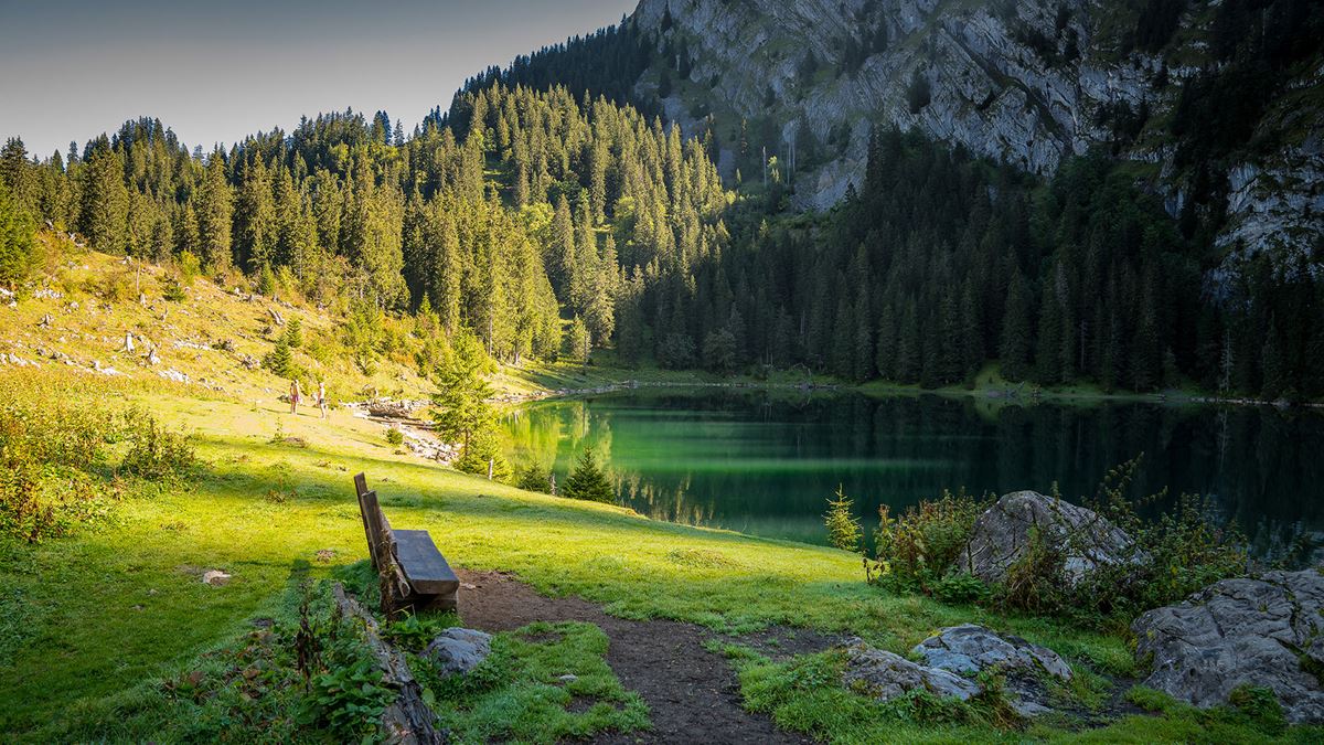 Saxeten-Linie - saxeten-linie - PostAuto
