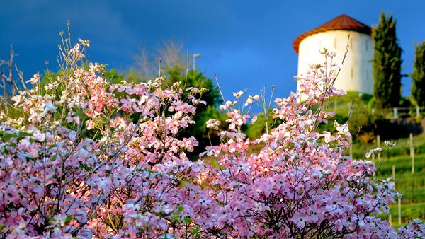Ritom-Bahn zum ermässigten Preis - PostAuto