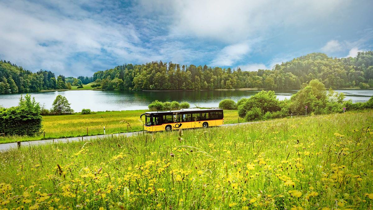 Naherholungsgebiet Türlersee - PostAuto